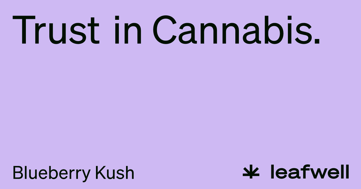 Blueberry Kush Marijuana Strain